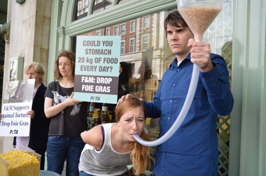 Media | Vegan Feminist Network